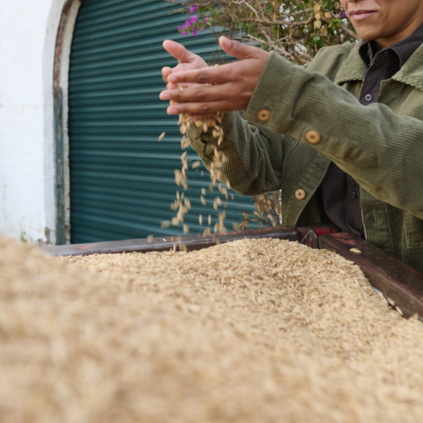 Welcome to MadeGood - United States – MadeGoodFoods-USA